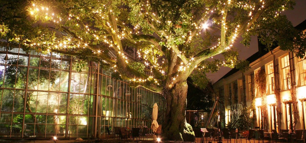 Hortus by light nu te bezoeken! - HARRY! by WestCord